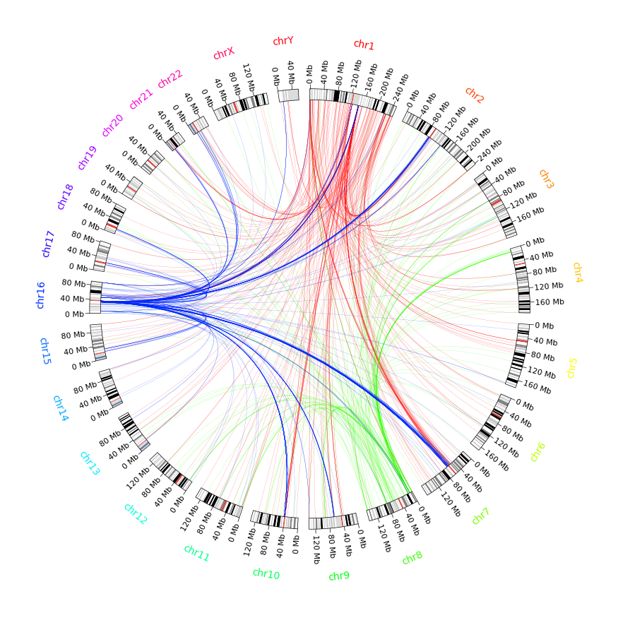 円形データ可視化パッケージ「pyCirclize」を開発してみた話 #Python - Qiita