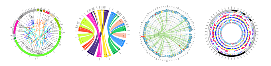 円形データ可視化パッケージ「pyCirclize」を開発してみた話 #Python - Qiita