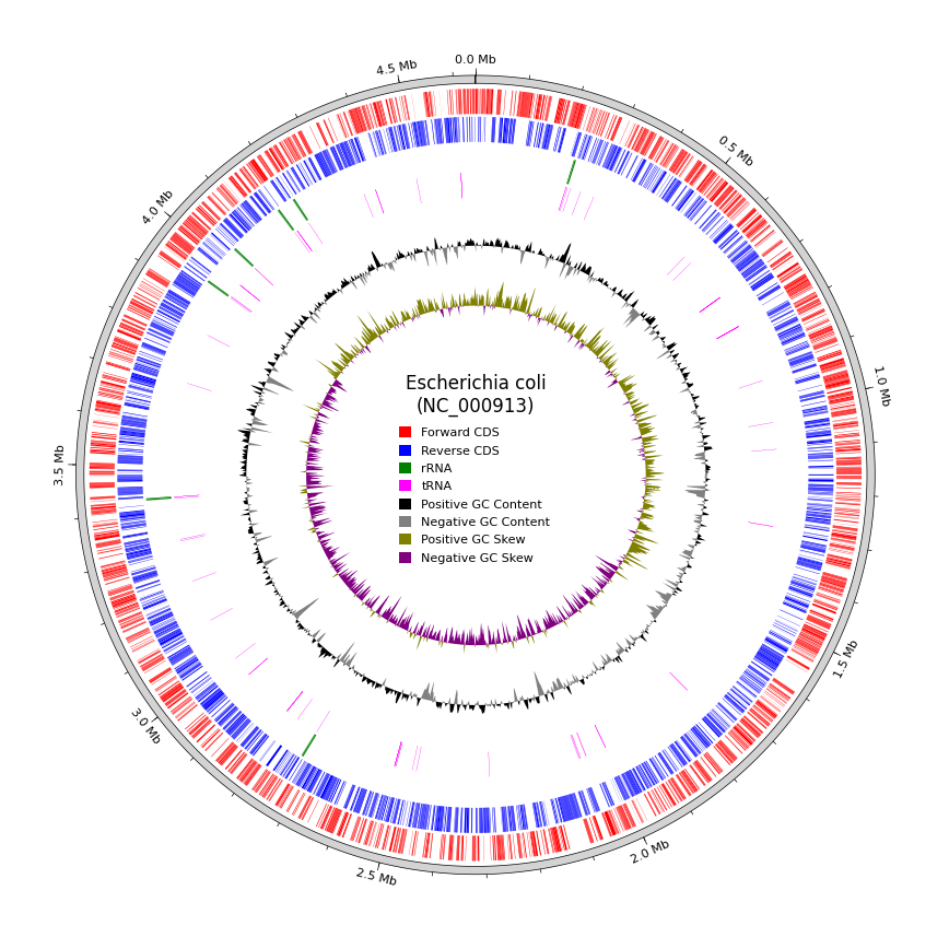 円形データ可視化パッケージ「pyCirclize」を開発してみた話 #Python - Qiita