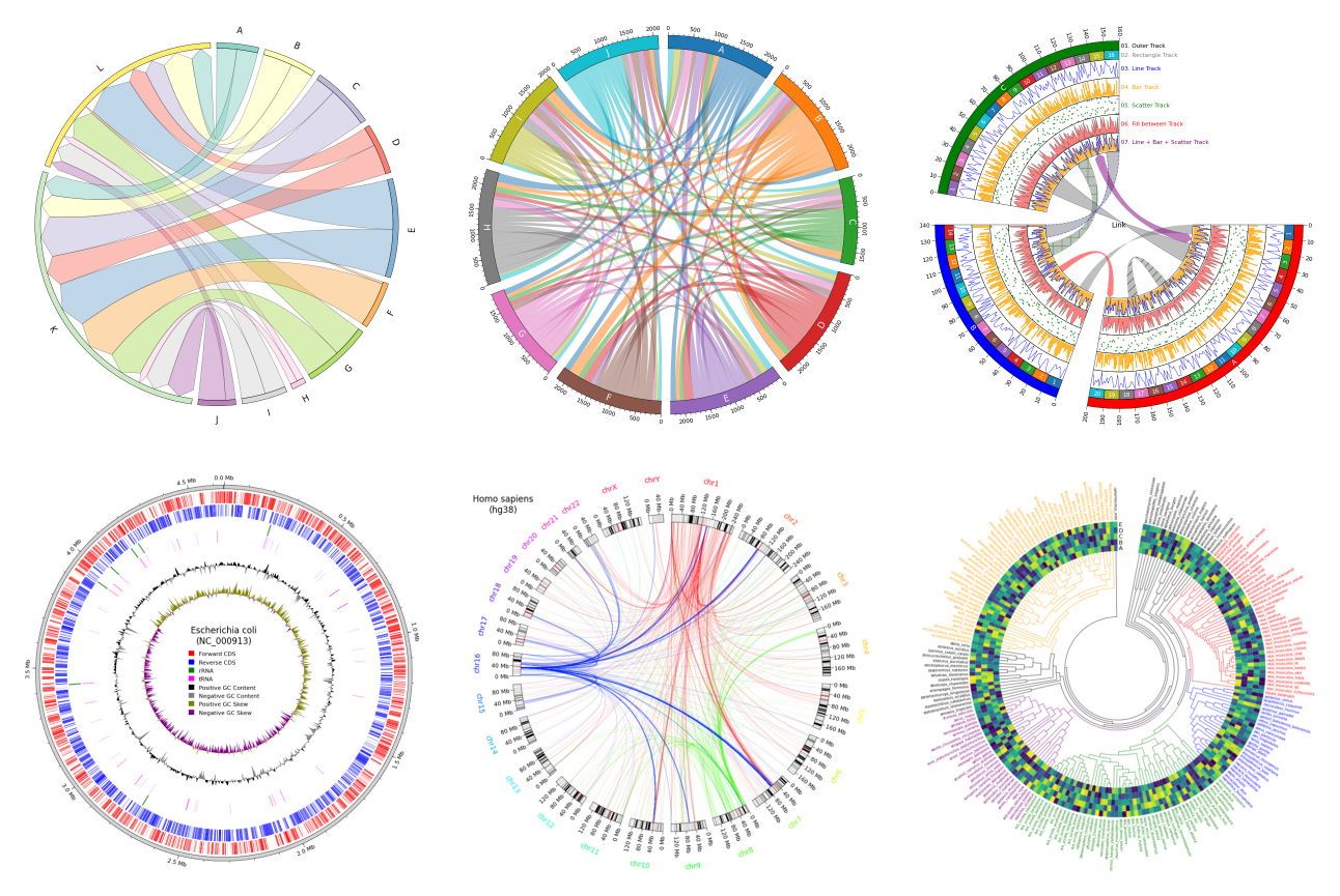 円形データ可視化パッケージ「pyCirclize」を開発してみた話 #Python - Qiita