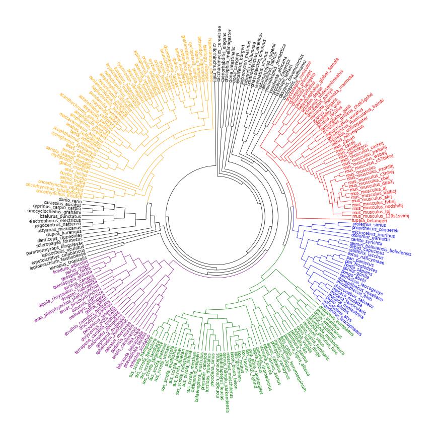 円形データ可視化パッケージ「pyCirclize」を開発してみた話 #Python - Qiita
