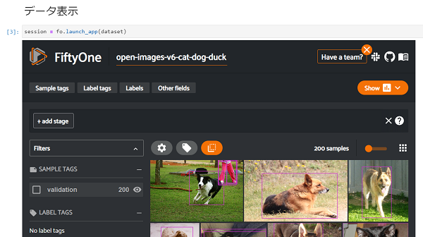 FiftyOne を使って Open Images Dataset のデータを取得する #Python - Qiita