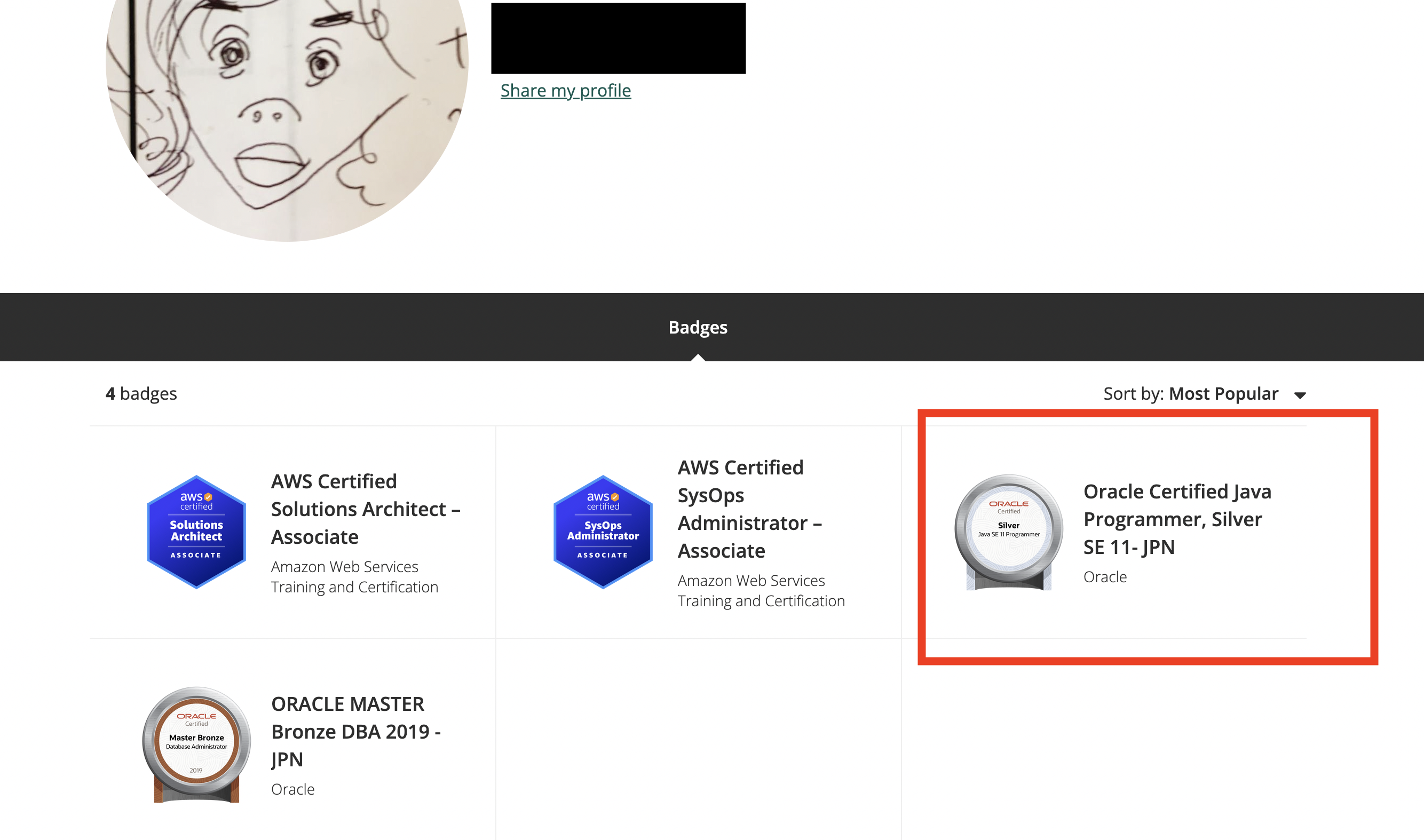 プログラミング歴0ヶ月の人がJava Silver SE11に一発合格するシンプルな方法 #初心者 - Qiita