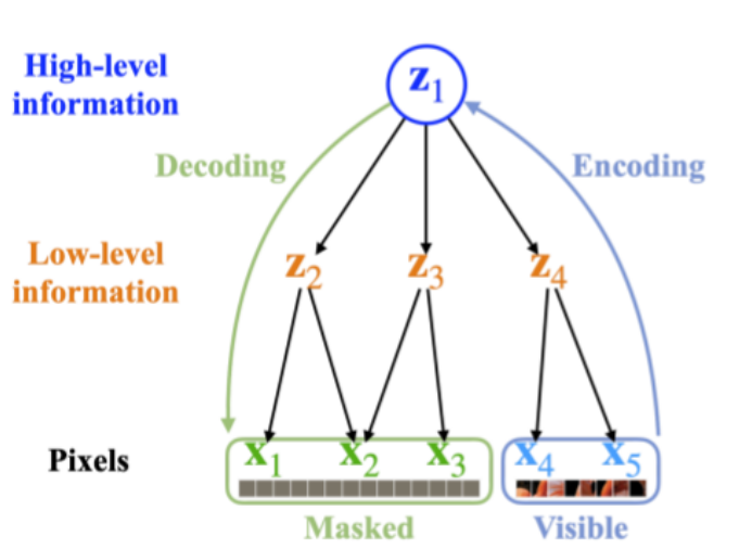 Understanding Masked Autoencoders via Hierarchical Latent Variable ...
