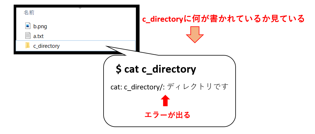 【Linux】ls と cat の違いとは？ #初心者 - Qiita