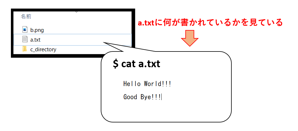 【Linux】ls と cat の違いとは？ #初心者 - Qiita