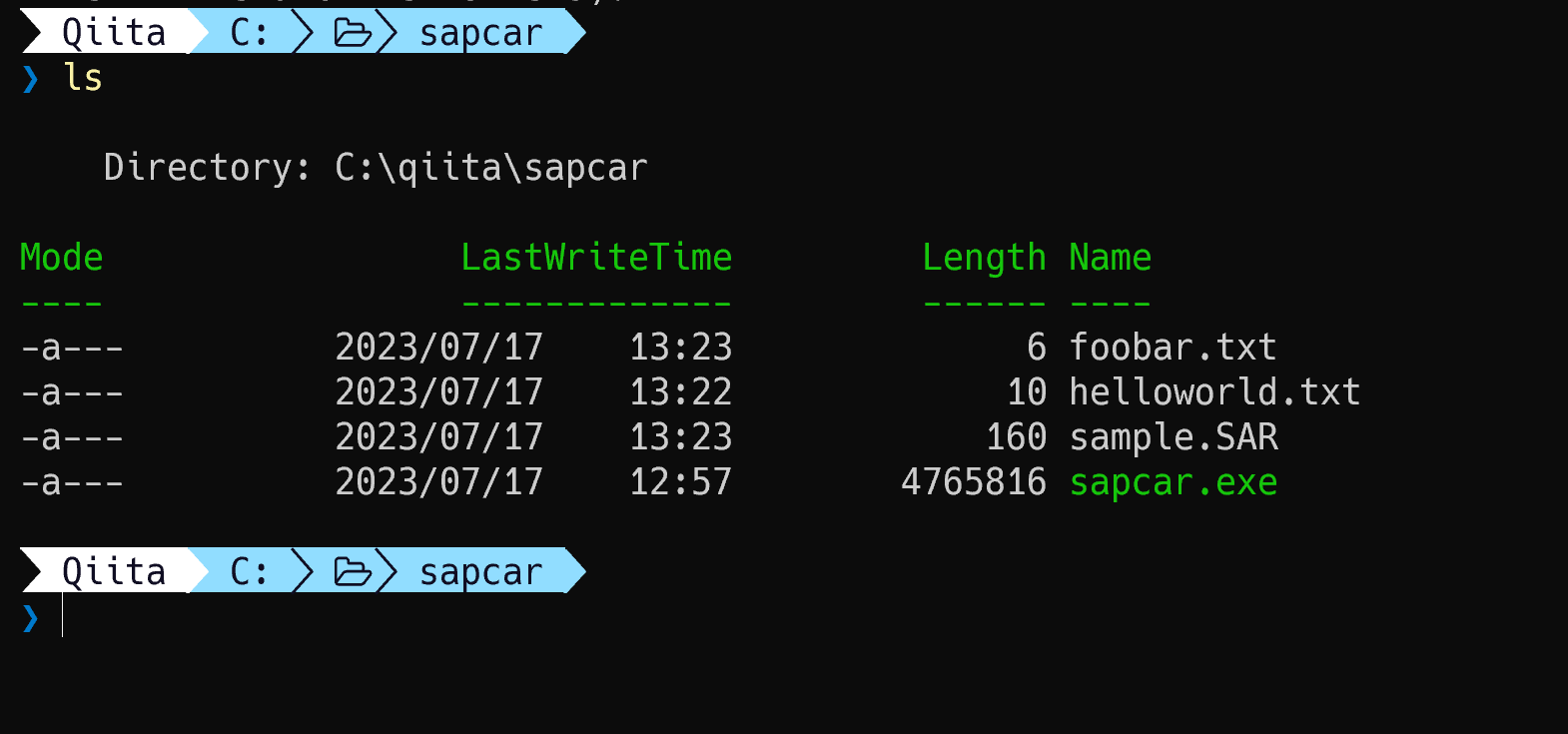 Windows端末にSAPCARをインストールして利用してみる #SAP - Qiita