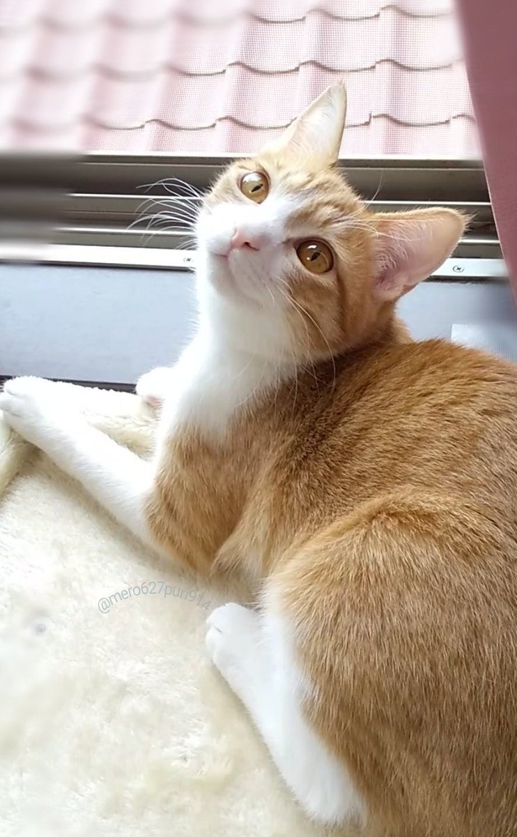 【Rails】updateとupdate!の違いと使い分け方 #初心者 - Qiita