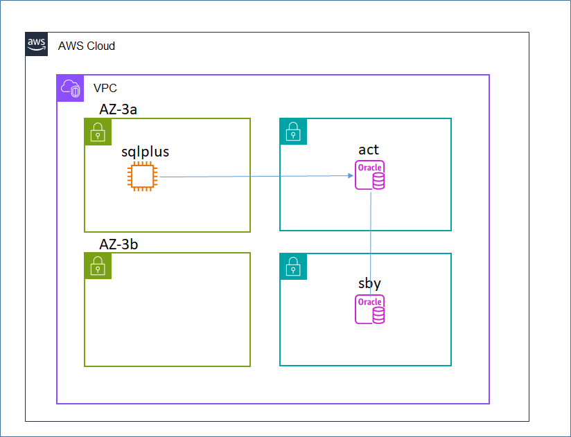 【初心者】いまさら Amazon RDS for Oracle に入門する #AWS - Qiita