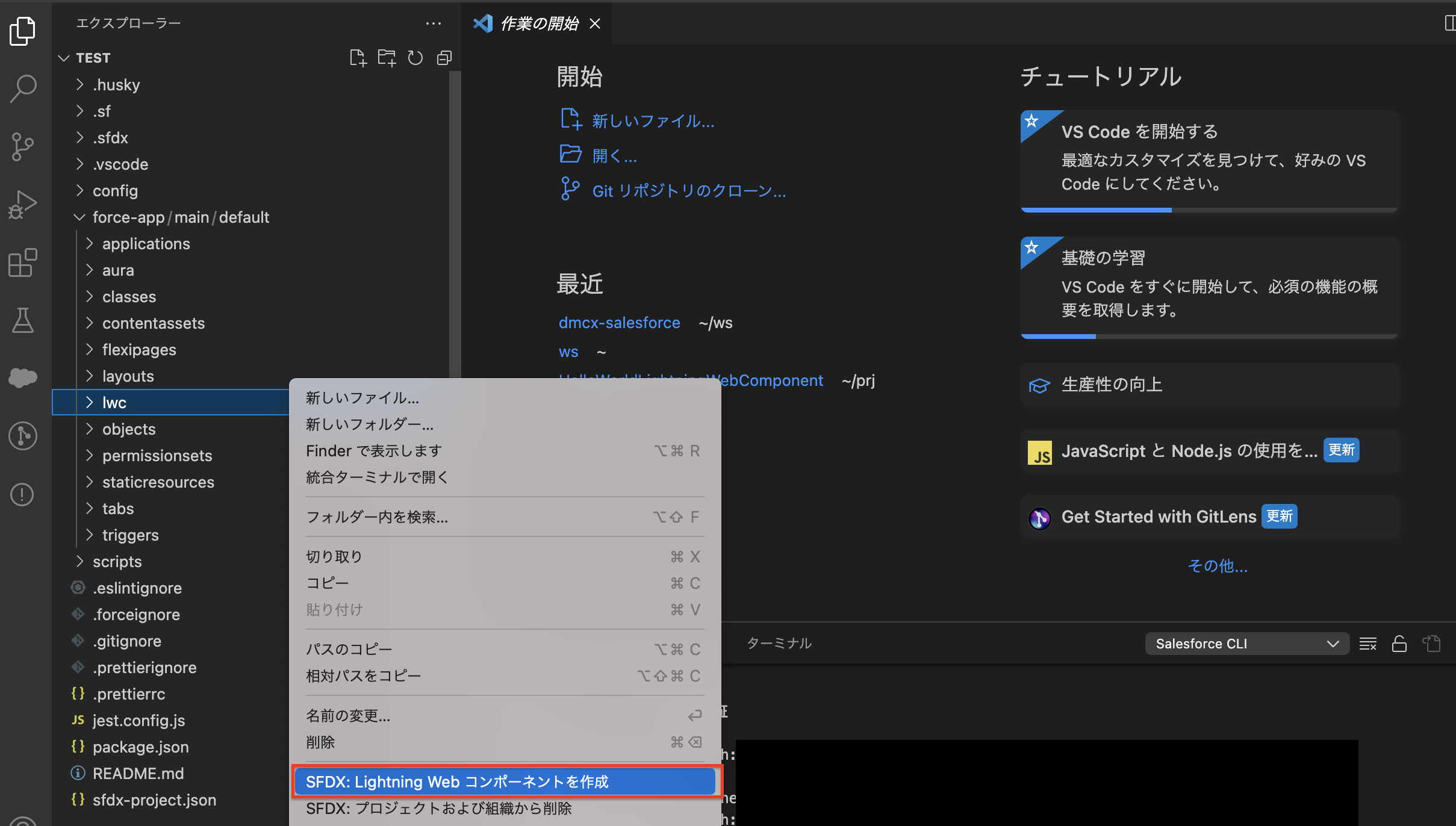 Salesforce LWC開発環境構築（VSCode） #lwc - Qiita