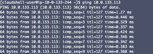 CloudShell をVPCで試してみた #AWS - Qiita