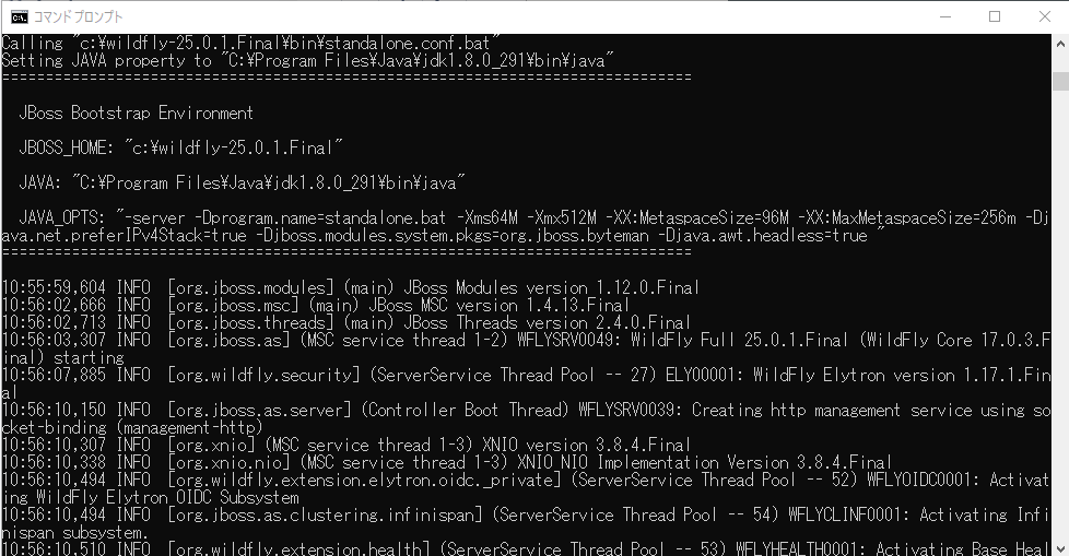 クイックスタート WildFly #Java - Qiita