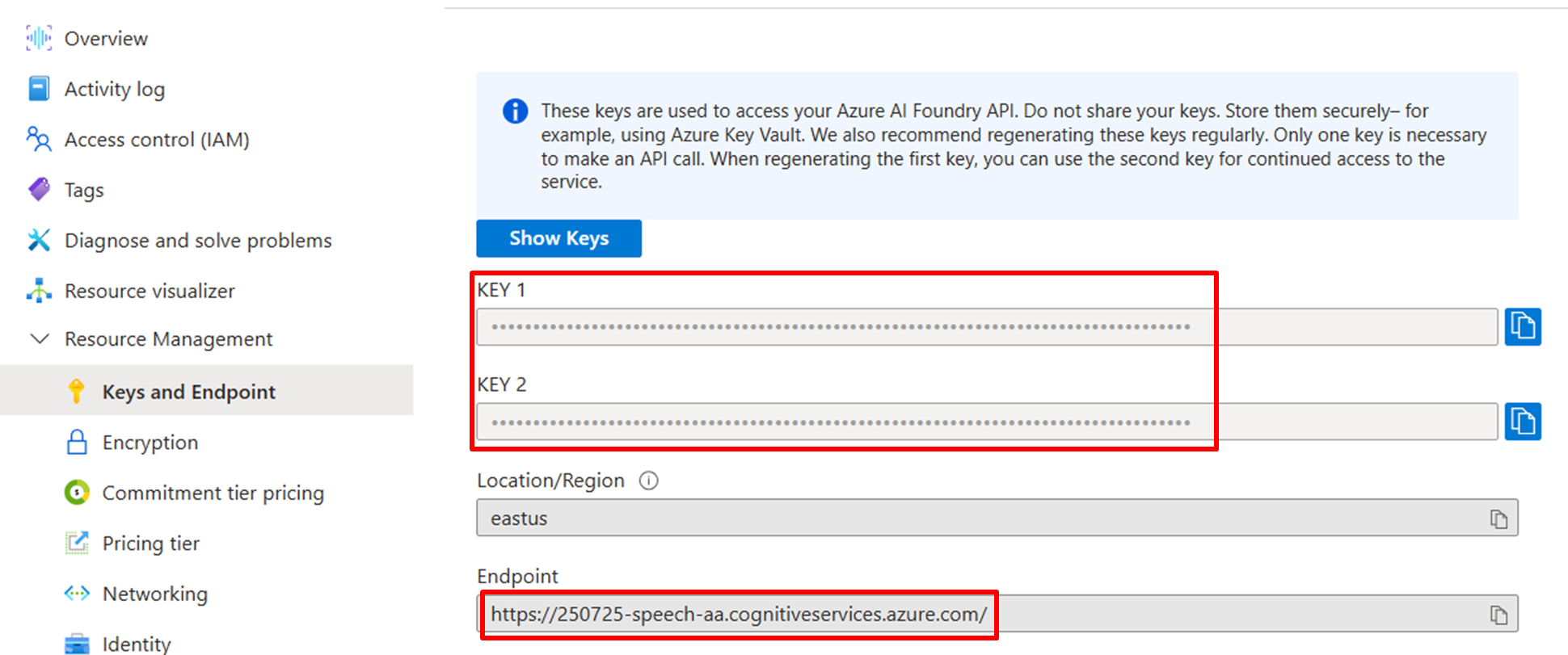Azure Speech ServiceでText to Speechをプライベートエンドポイントで実行する ~node.jsでの実行方法~ #Node.js - Qiita