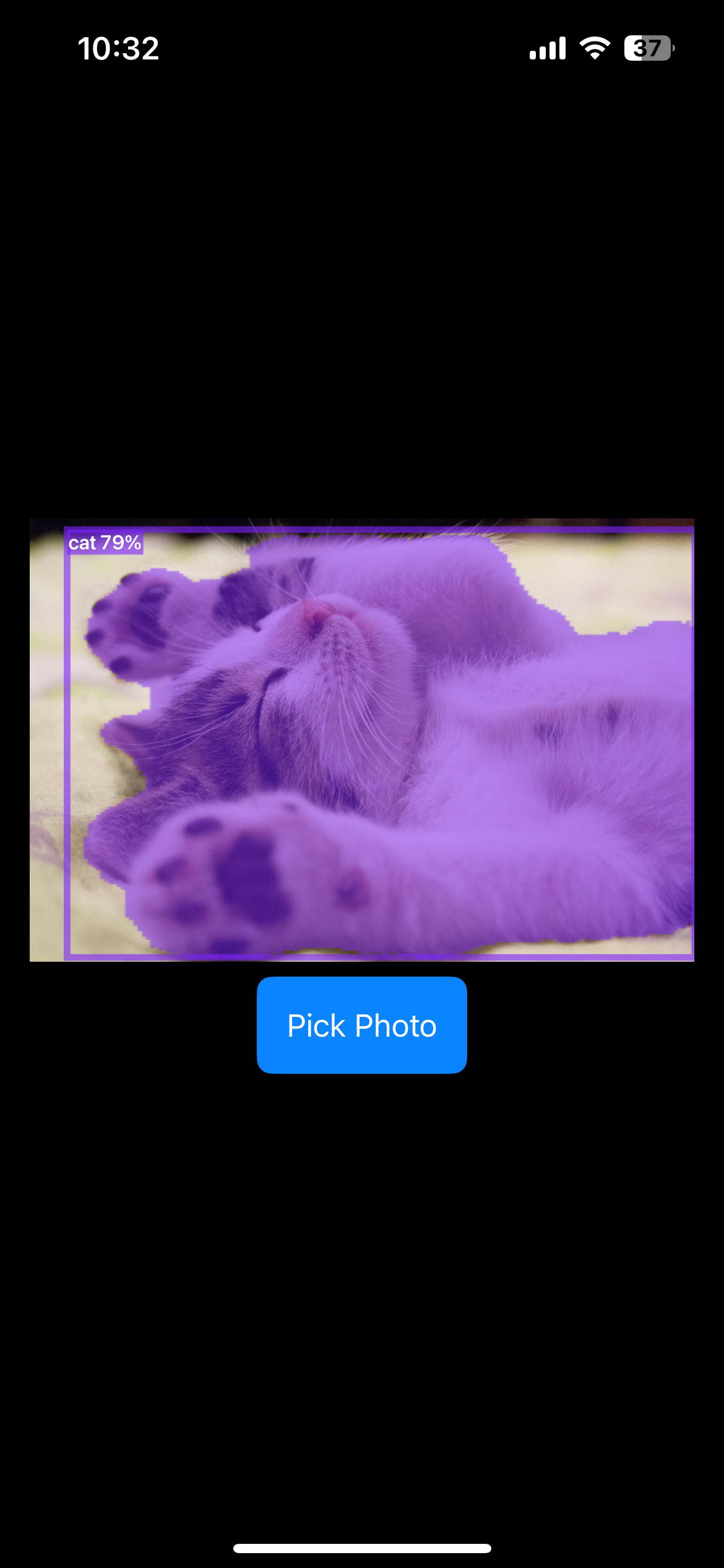 YOLOv11を使ってiPhoneでリアルタイム・セグメンテーションを始めよう #iOS - Qiita