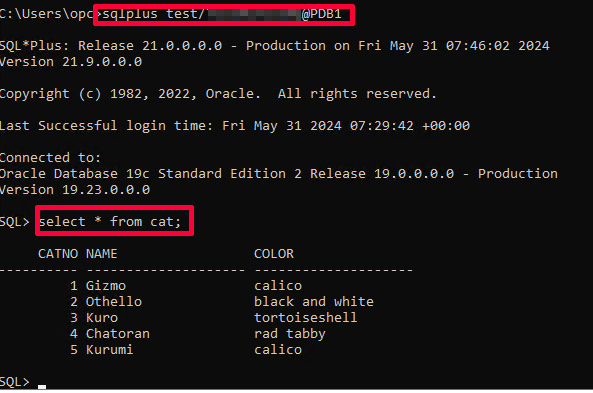 OCI上のWindows ServerからPerlを使ってOCI BaseDBへ接続する方法 #oci - Qiita