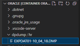 Oracle SQL Developer にてデータ・パンプ・インポート・ウィザードにて発生する ORA-31640 への暫定対応 #OracleDatabase - Qiita