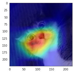 PyTorchを使ってCNNの判断根拠を可視化するGrad-CAMを実装してみた #Python - Qiita
