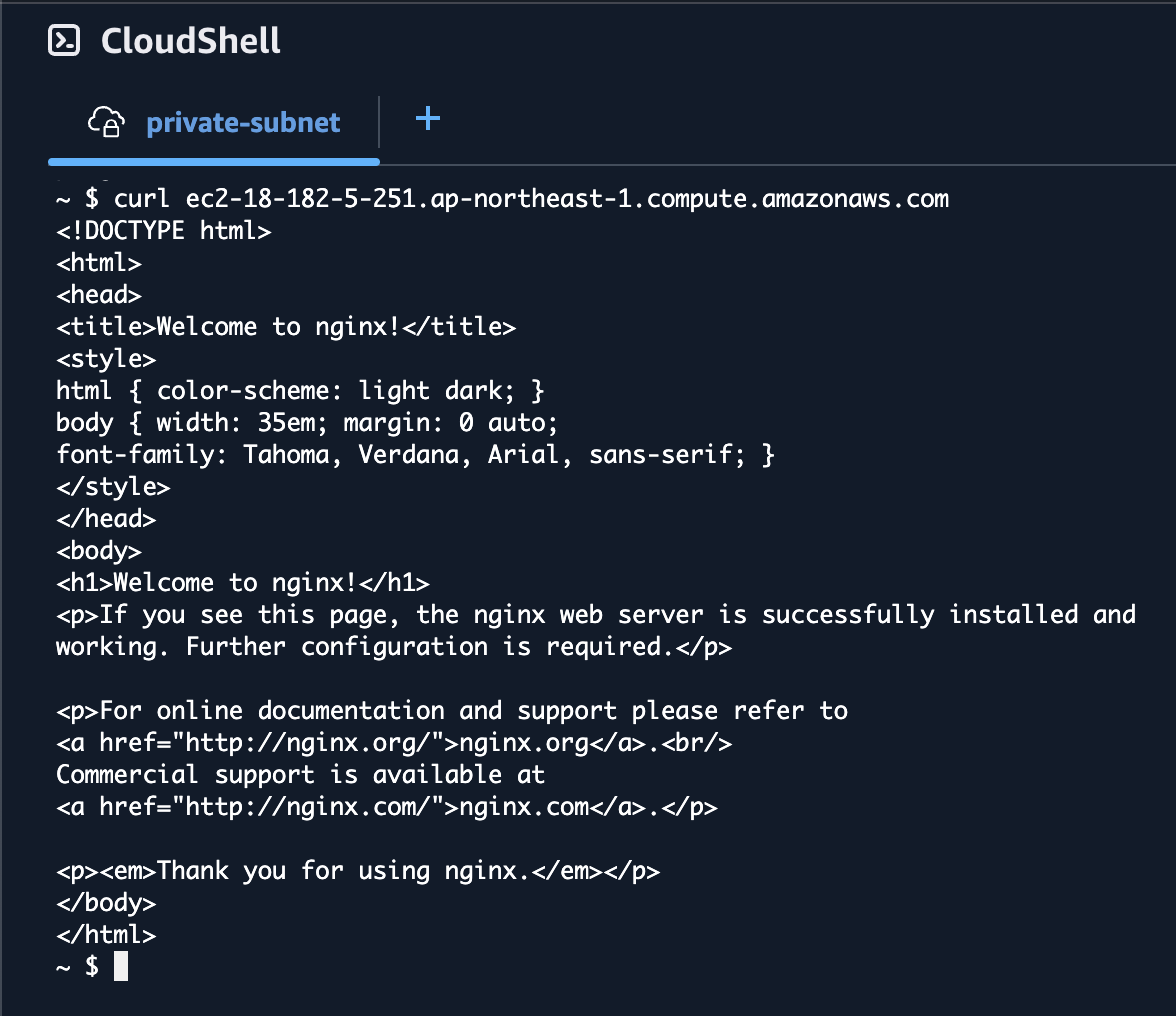雑に疎通確認だけしたい…せや！CloudShell使ったろ！ #AWS - Qiita