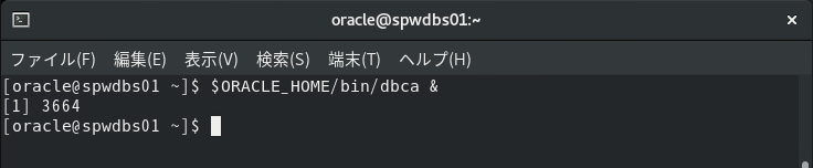 DBCA によるデータベースの作成（Oracle Database 19c） #oracle19c - Qiita