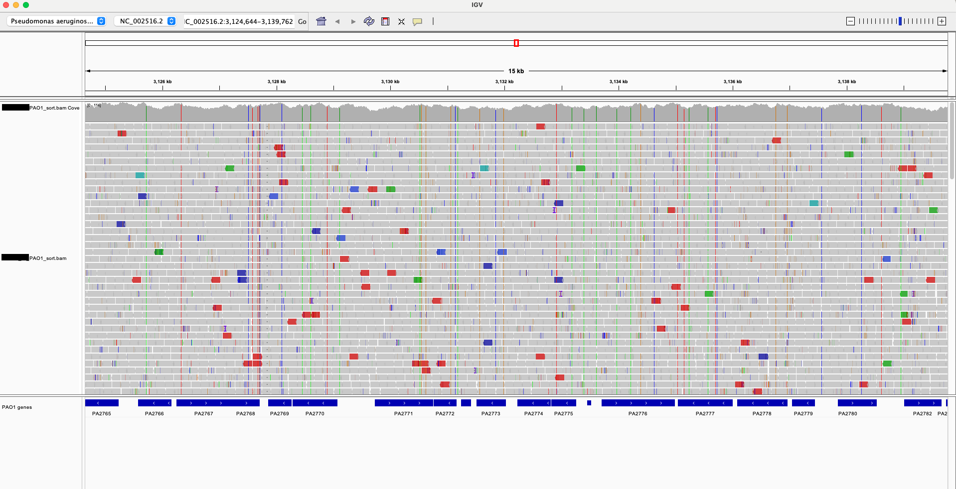 [ゲノム解析] IGVで視覚的にゲノム解析を行おう #Mac - Qiita