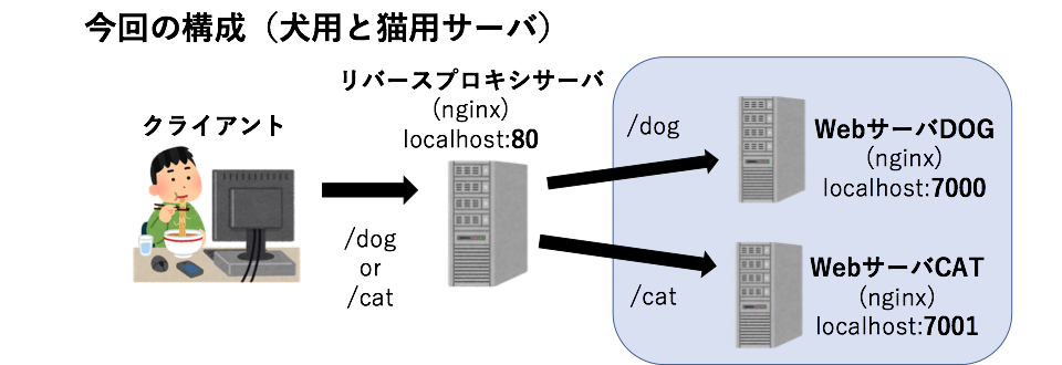 実践編ーdockerを使ってnginxでリバースプロキシを立ててみる Docker Qiita 