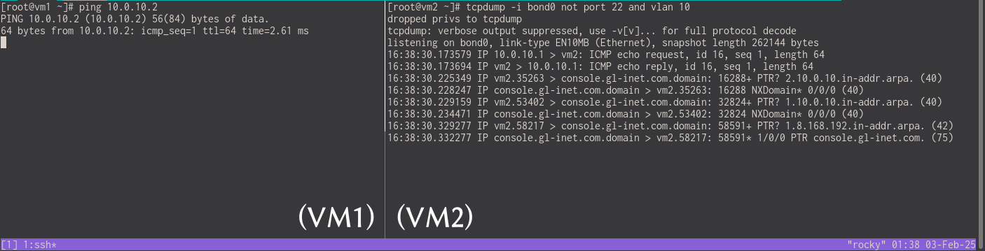 Open vSwitch + Libvirt で VLAN over LACP (802.3ad) による VM 間通信 #Network - Qiita