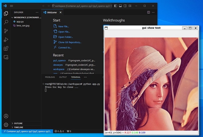 Docker初心者がコンテナ内からGUIアプリケーション表示する方法に挑戦 #VSCode - Qiita
