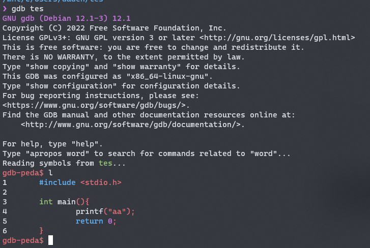 gdbデバッガを使う #AdventCalendar2022 - Qiita