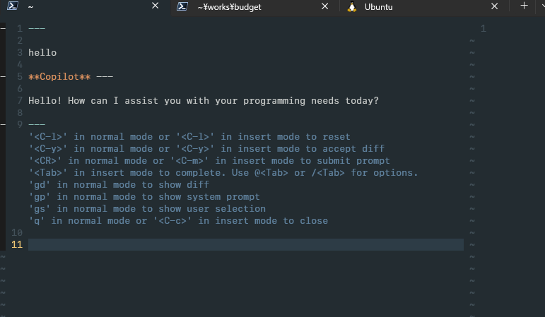 Neovim から Copilot Chat を使う #Vim - Qiita