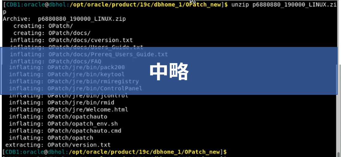 Oracle Database 19cに最新パッチを適用してみた #初心者 - Qiita