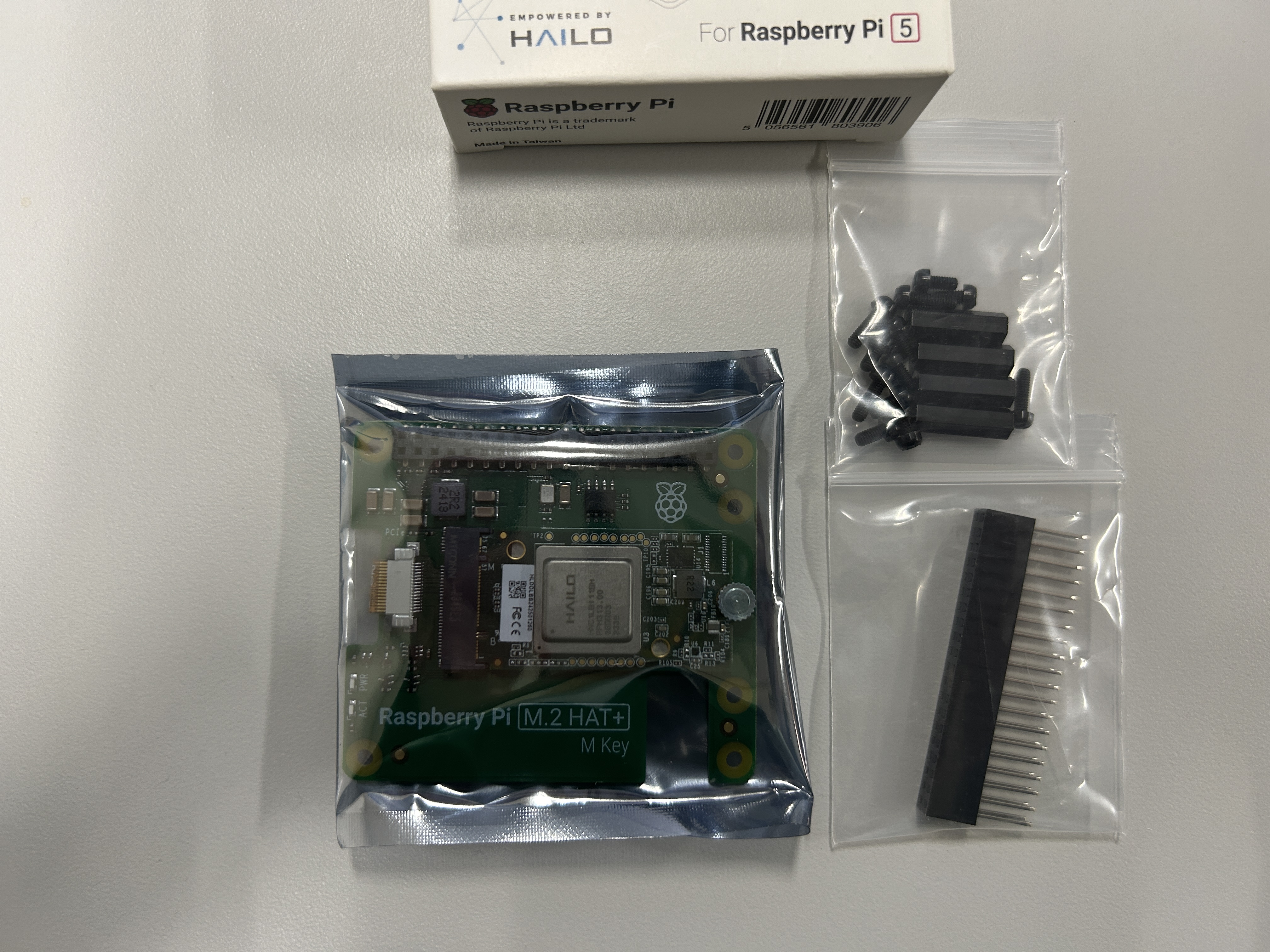 Raspberry Pi AI Kit のセットアップと物体検出を使用したゲームの作成 #RaspberryPi - Qiita