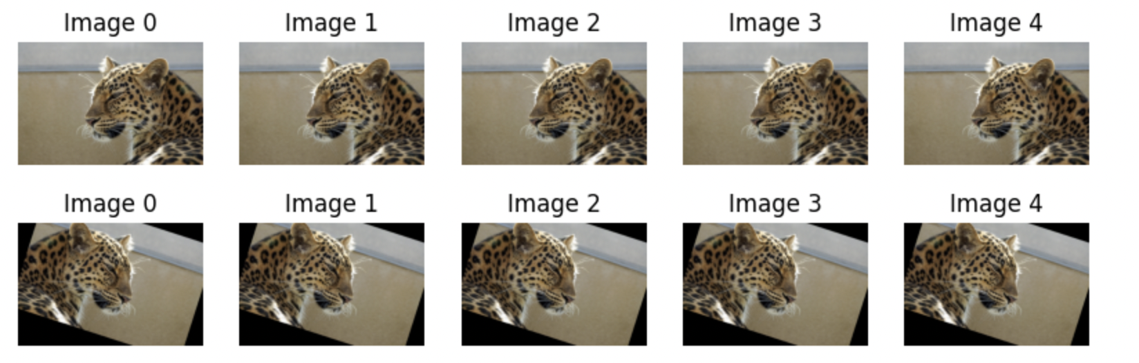TorchVision v2(version 0.16) について #PyTorch - Qiita