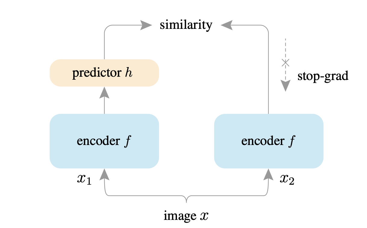 【PyTorch】自己教師あり学習 SimSiam の実装 #Python - Qiita