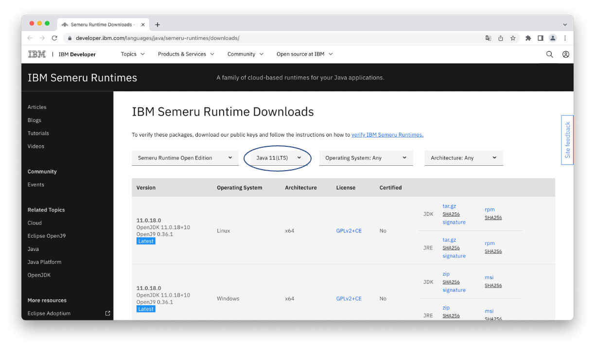 IBM i駆け出し日記：Power VSをACSに接続する -ACSダウンロード編- - Qiita