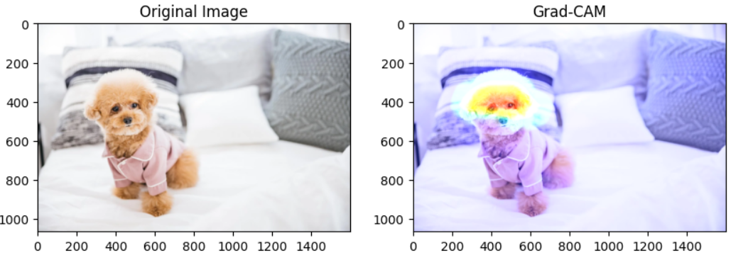 CAM/Grad-CAMによる画像認識モデルの信頼性向上 #Python - Qiita