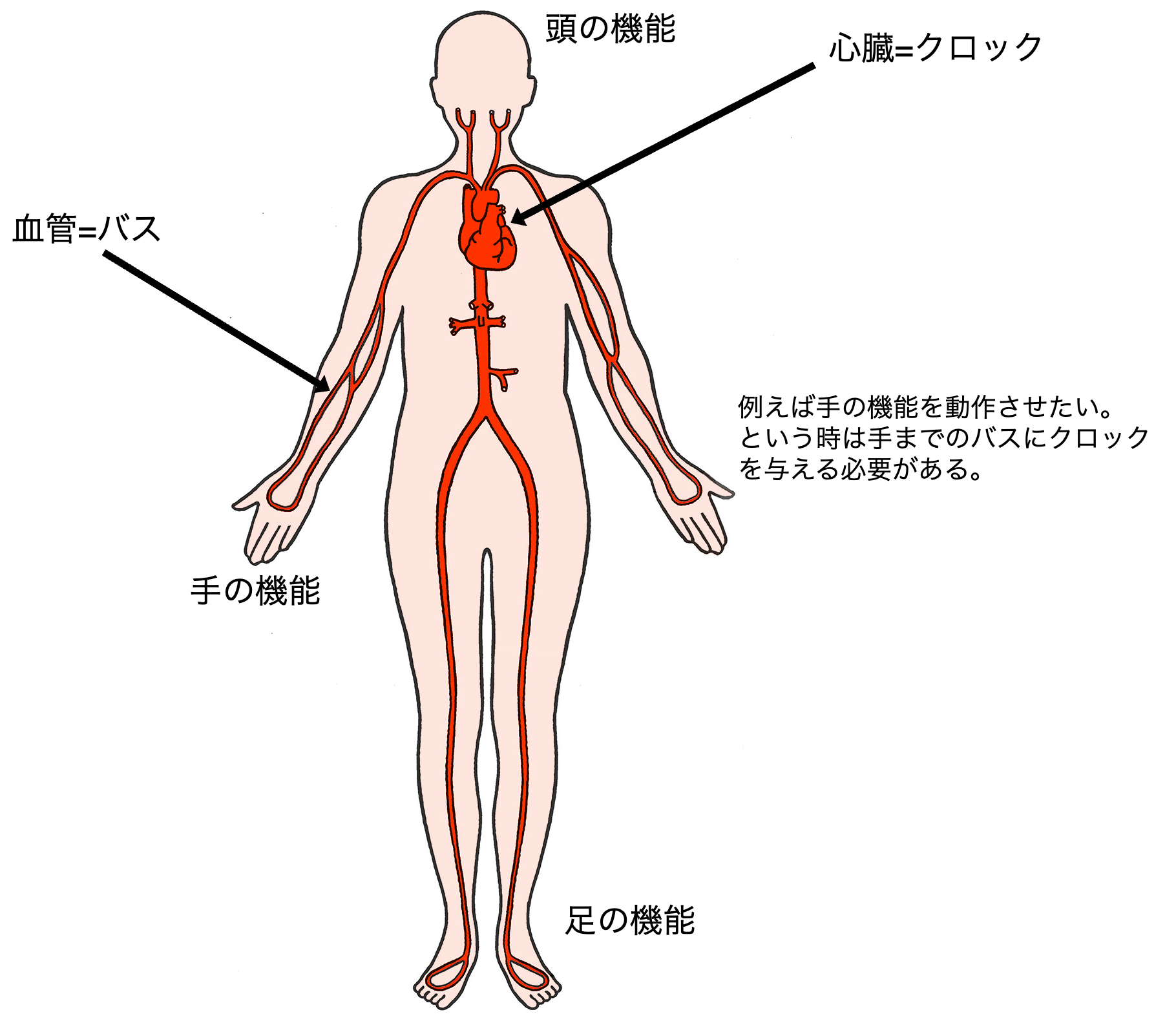 [組み込み] レジスタ制御しようぜのGPIO編 #C - Qiita