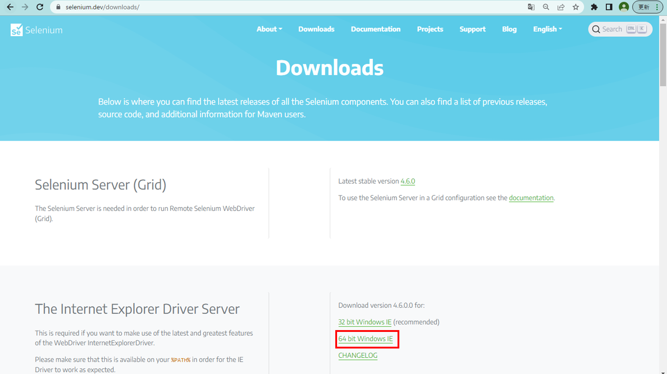 【selenium】seleniumの設定～IEモードで実行をやってみた #Java - Qiita