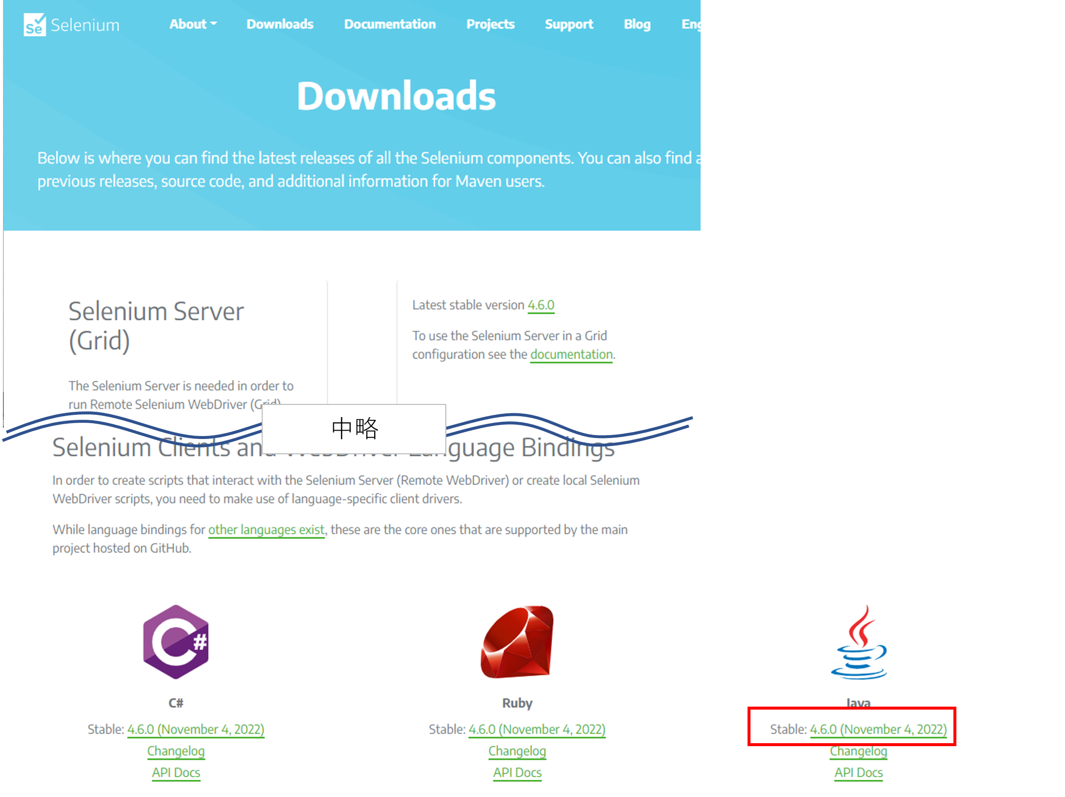 【selenium】seleniumの設定～IEモードで実行をやってみた #Java - Qiita