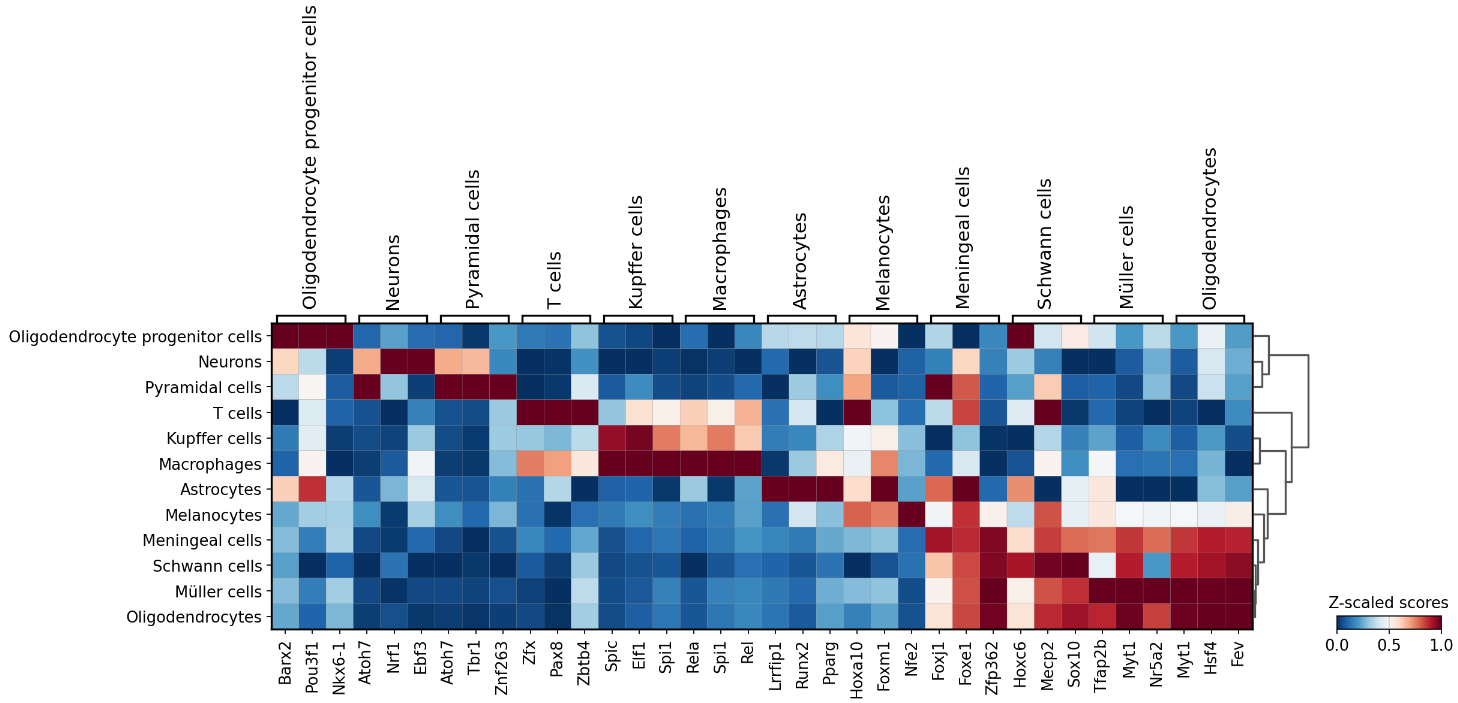 scanpy/decouplerを用いてscRNA-seqデータを解析してみた #Python - Qiita