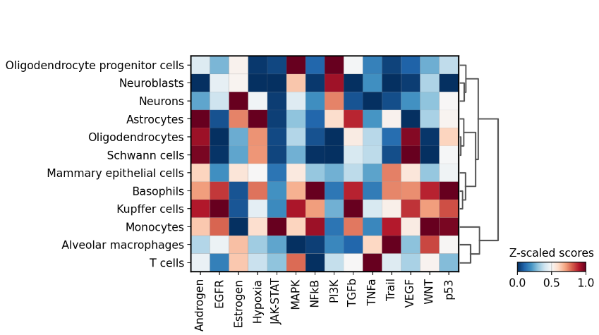 scanpy/decouplerを用いてscRNA-seqデータを解析してみた #Python - Qiita