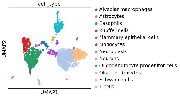scanpy/decouplerを用いてscRNA-seqデータを解析してみた #Python - Qiita
