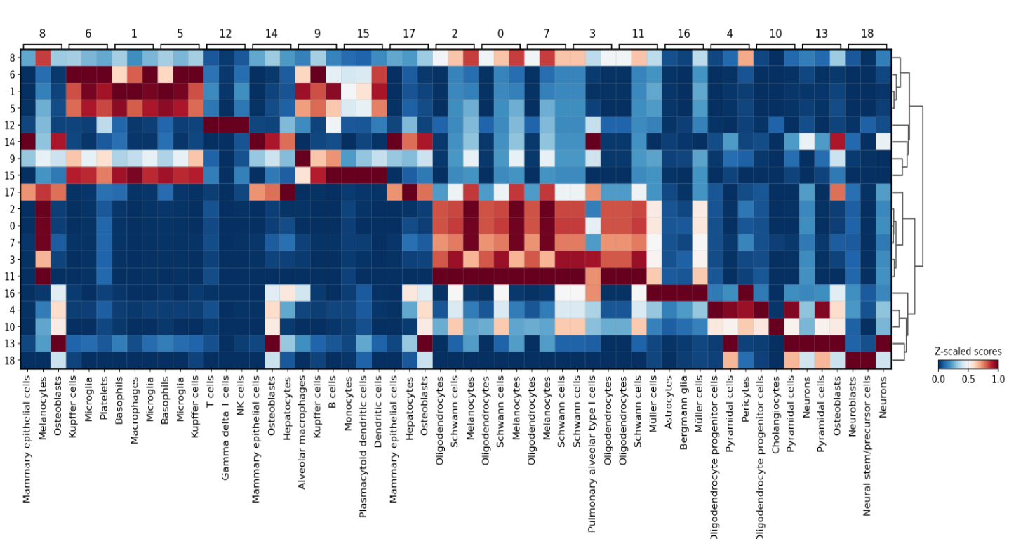 scanpy/decouplerを用いてscRNA-seqデータを解析してみた #Python - Qiita