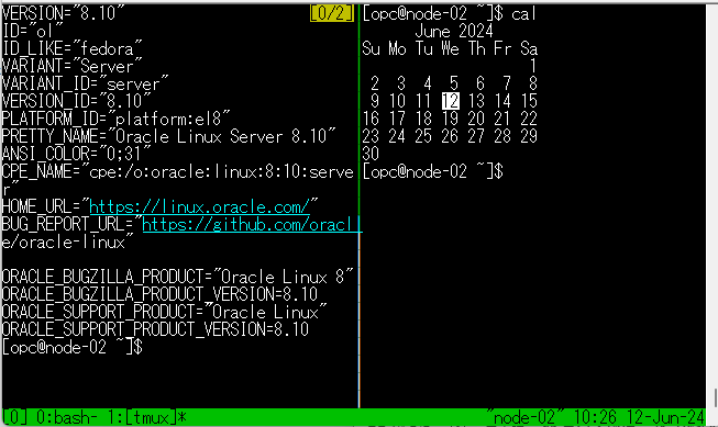 tmux、これだけ知っておけばおk（コマンド編） #Linux - Qiita