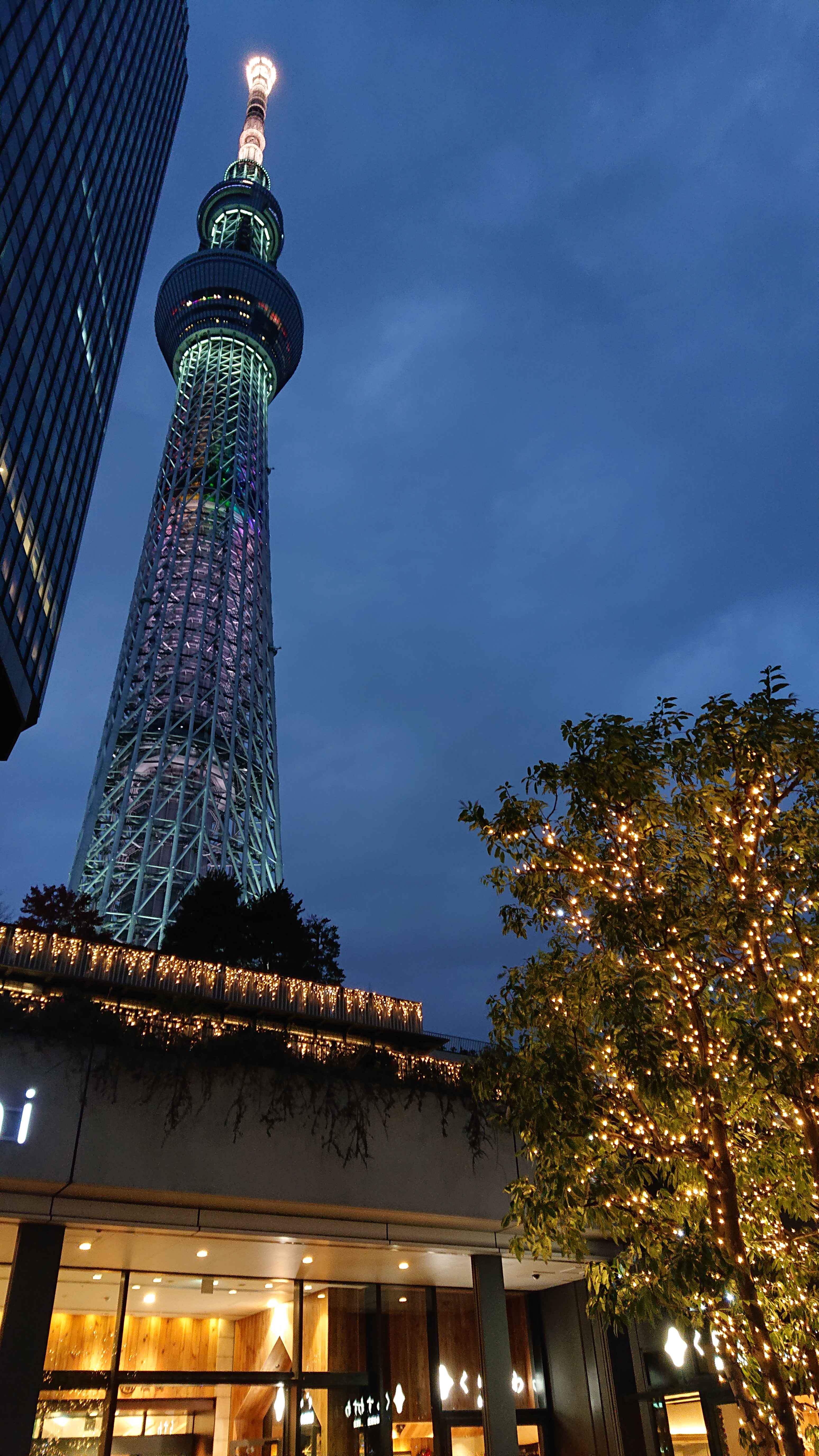 Amazon Bedrock Converse API で Claude3 の JSON モードを利用する #Python - Qiita