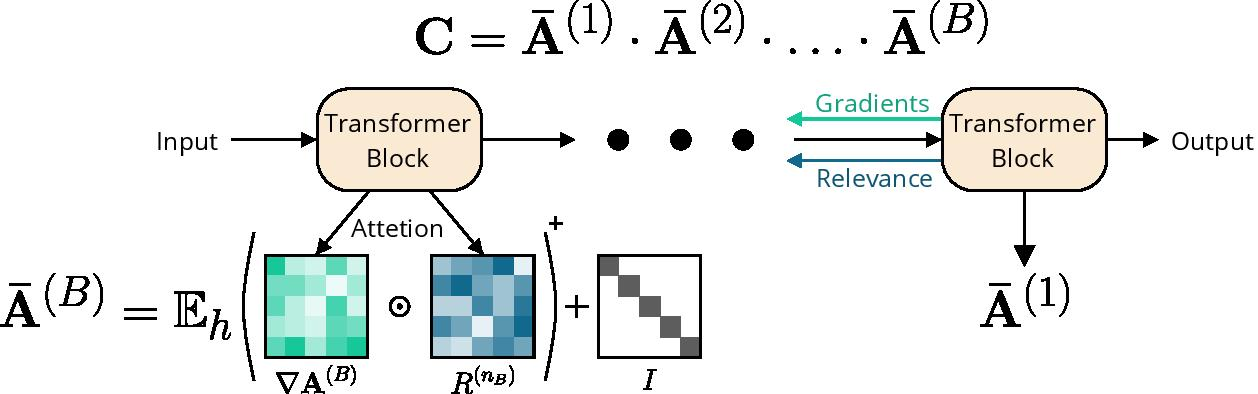 【Vit】判断根拠の可視化4選（Attention map / Grad-CAM） #Python - Qiita