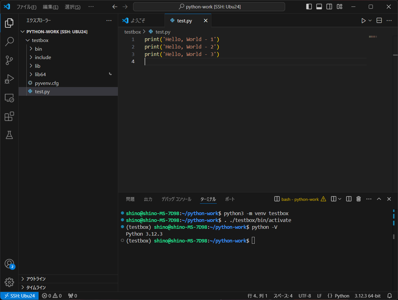 VSCodeでWindowsからリモートのUbuntu24.04上にあるPythonコードをデバッグする #Python3 - Qiita