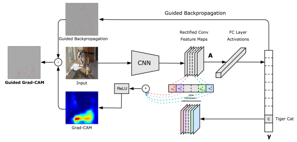 日本一詳しくGrad-CAMとGuided Grad-CAMのソースコードを解説してみる(Keras実装) #機械学習 - Qiita
