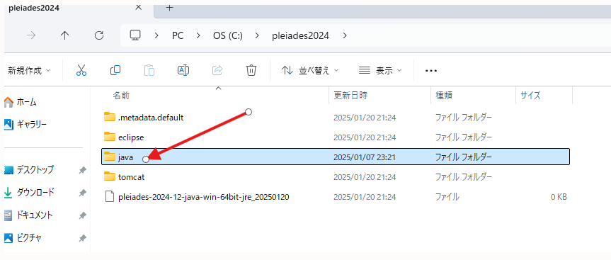 【初心者向け】Java環境構築(Windows11版)Eclipseのインストール(Pleiadesのインストール) #Java入門 - Qiita