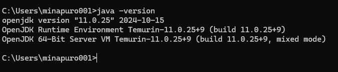 【初心者向け】Java環境構築(Windows11版)Eclipseのインストール(Pleiadesのインストール) #Java入門 - Qiita
