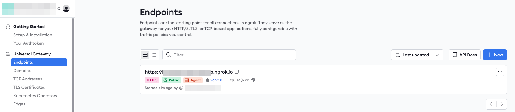 初心者による初心者のためのngrok（エングロック） -ローカル起動したFastAPIサーバーを公開化してみる- #初心者 - Qiita